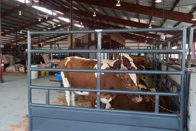 Priefert Manufacturing