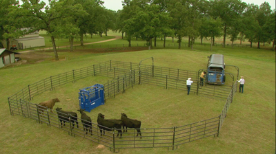 Priefert Manufacturing