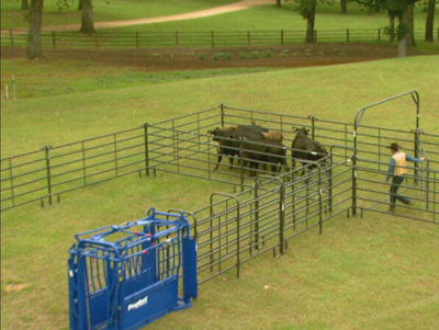 Priefert Manufacturing