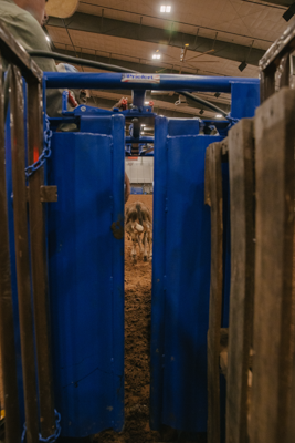 Priefert Manufacturing