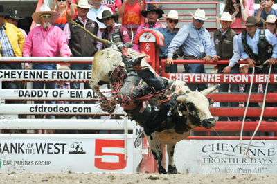 Priefert Manufacturing