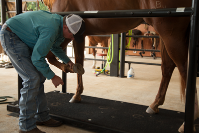 Priefert Manufacturing