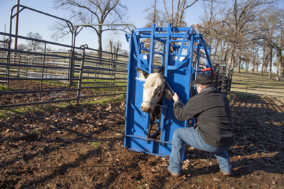 Priefert Manufacturing