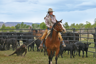 Priefert Manufacturing