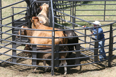 Priefert Manufacturing