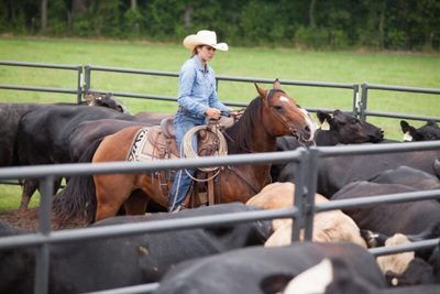 Priefert Manufacturing