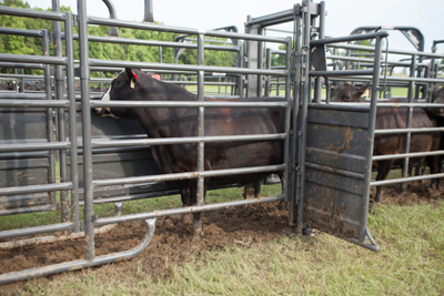 Priefert Manufacturing