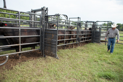 Priefert Manufacturing