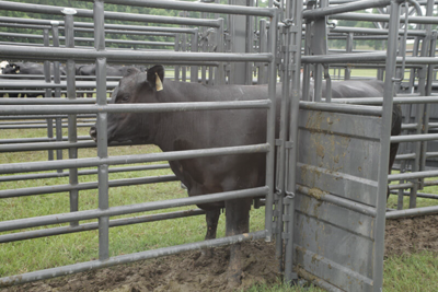 Priefert Manufacturing