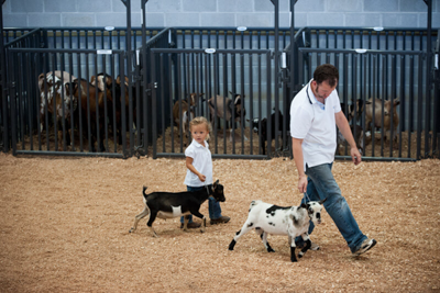 Priefert Manufacturing