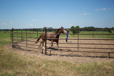 Priefert Manufacturing