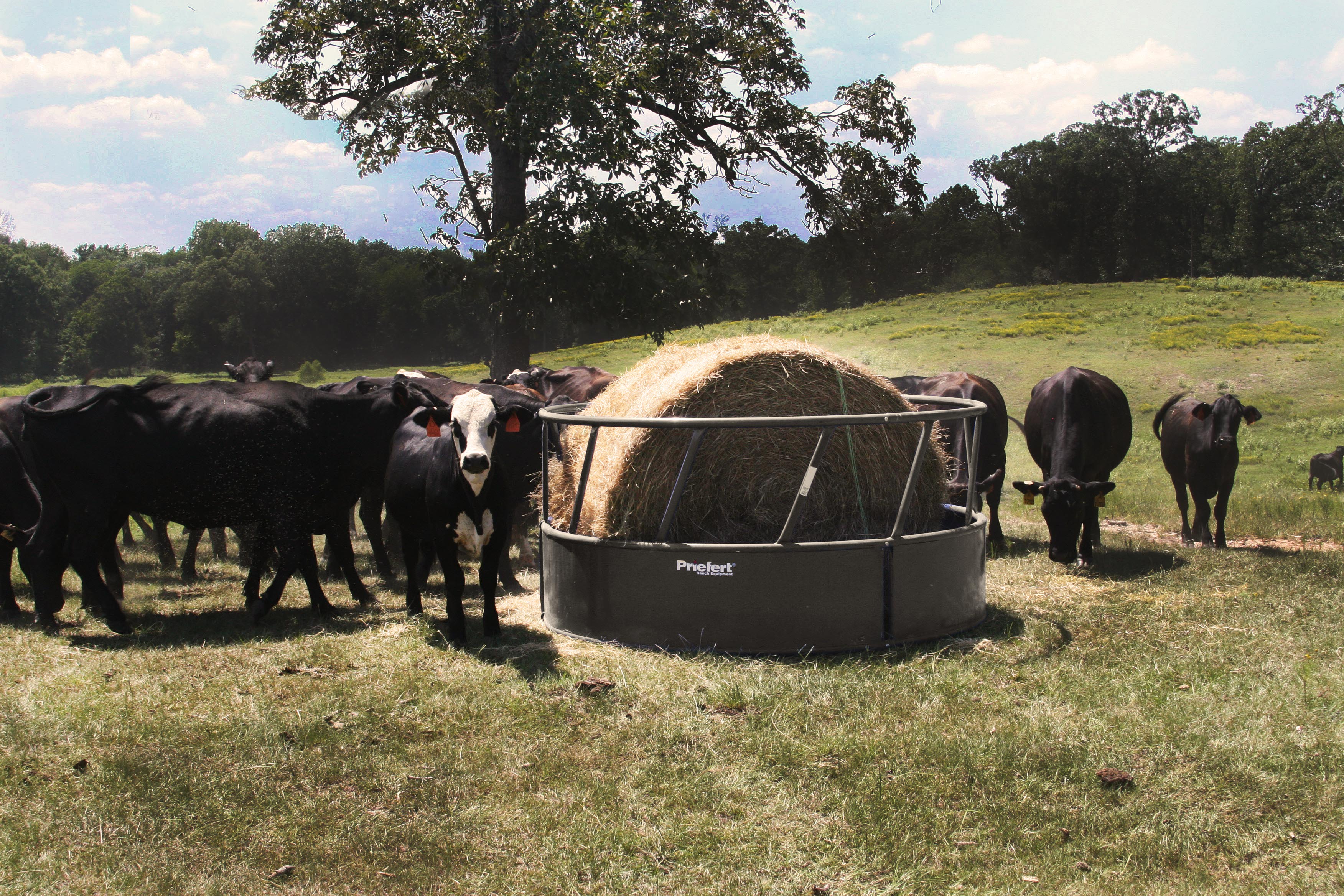 Priefert Manufacturing