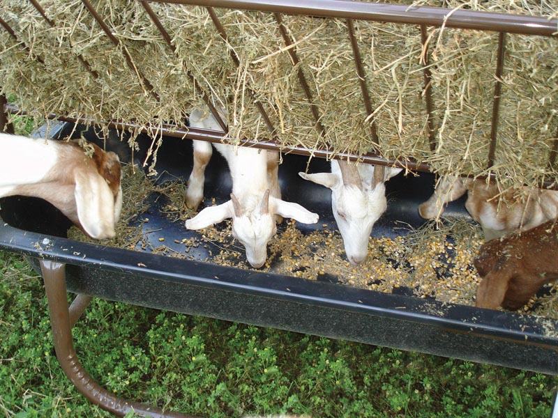 Priefert Manufacturing