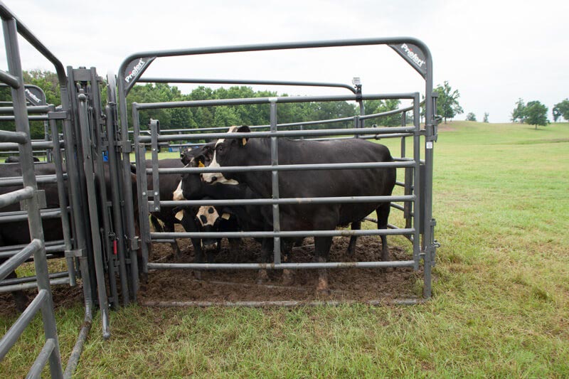 Priefert Manufacturing