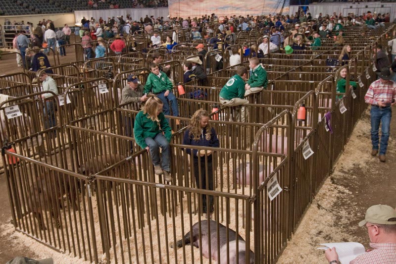 Priefert Manufacturing