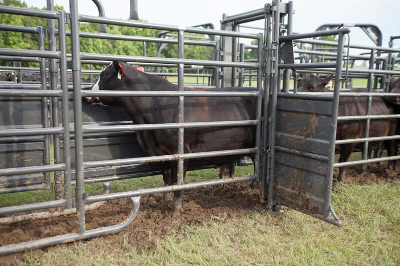 Priefert Manufacturing