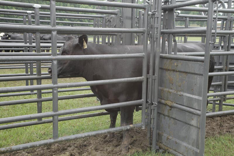 Priefert Manufacturing